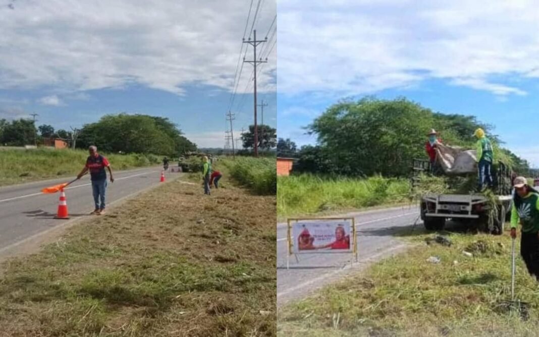 Lara Bella y Segura fortalece plan de desmalezado en la región ...